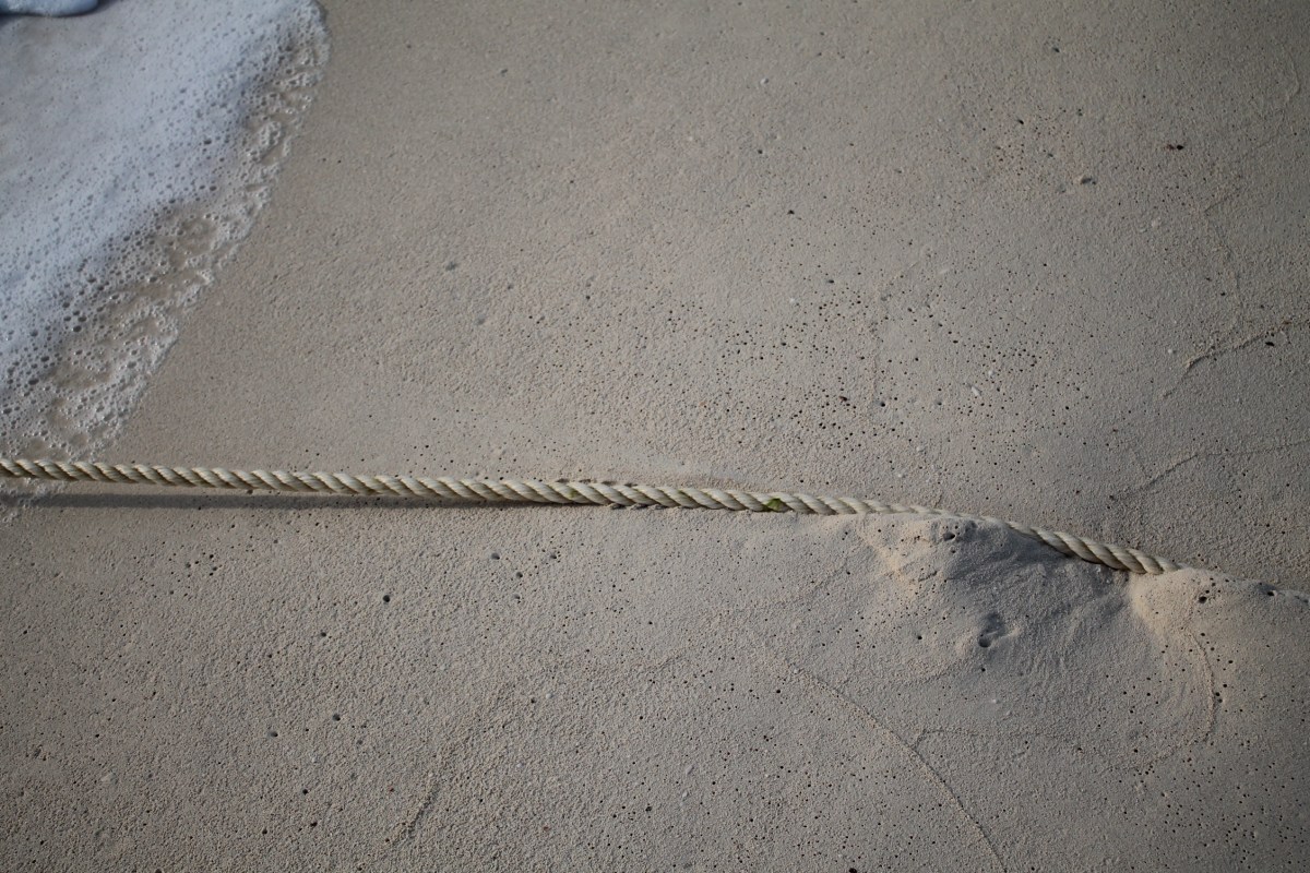 Publications – Jessica Barratt