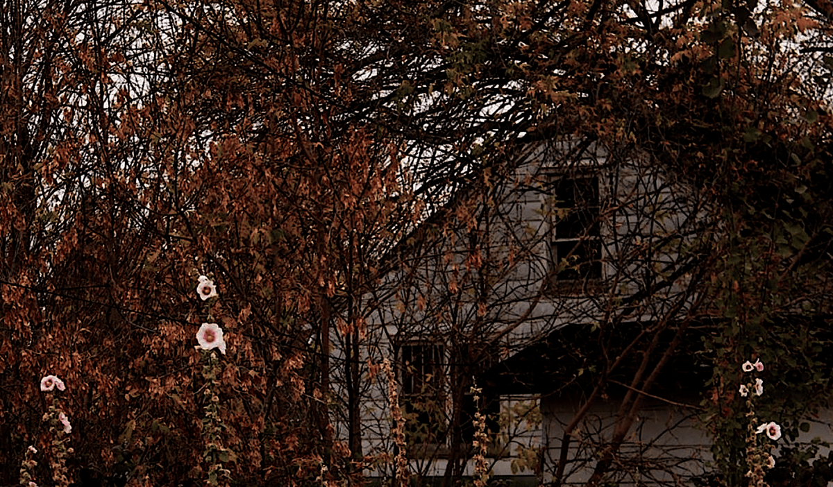 Lita – Jessica Barratt